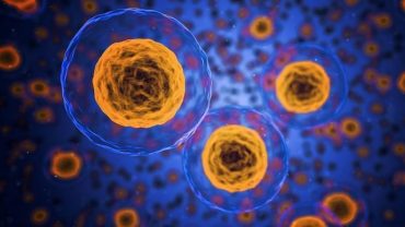 Ankara, new structure of human cell discovered – Balkanweb.com - News24
