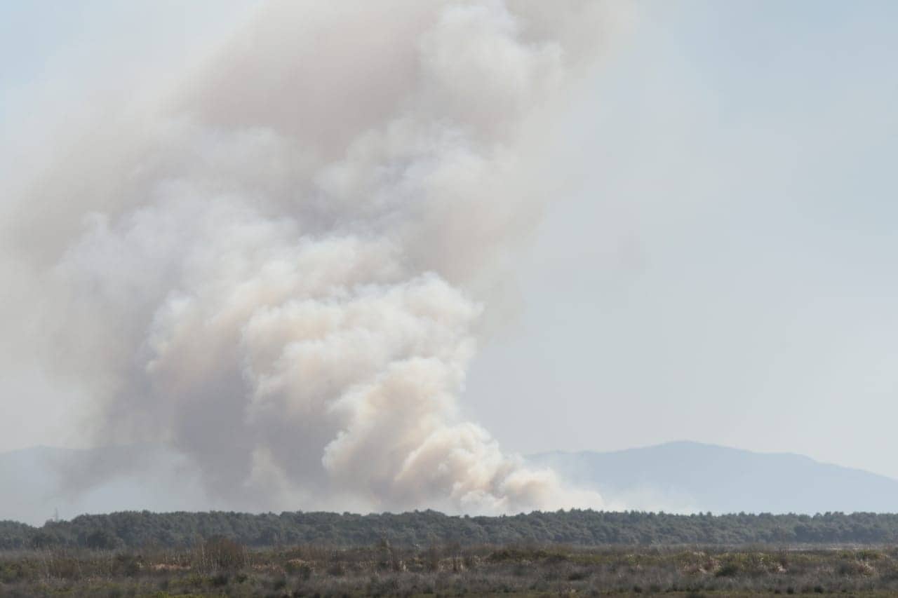 VIDEO/ Drama in Fier, fire and flames 30 meters high in the forests of ...