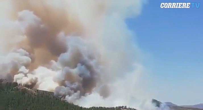 Video/ Giant fire in Gran Canaria, thousands of hectares of land burned ...