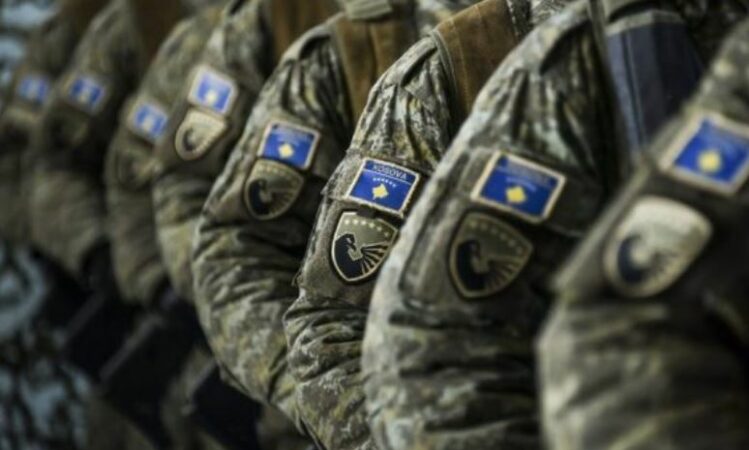 Nga dronët, te blerja e pajisjeve të reja ushtarake dhe shtimi i numrit ...