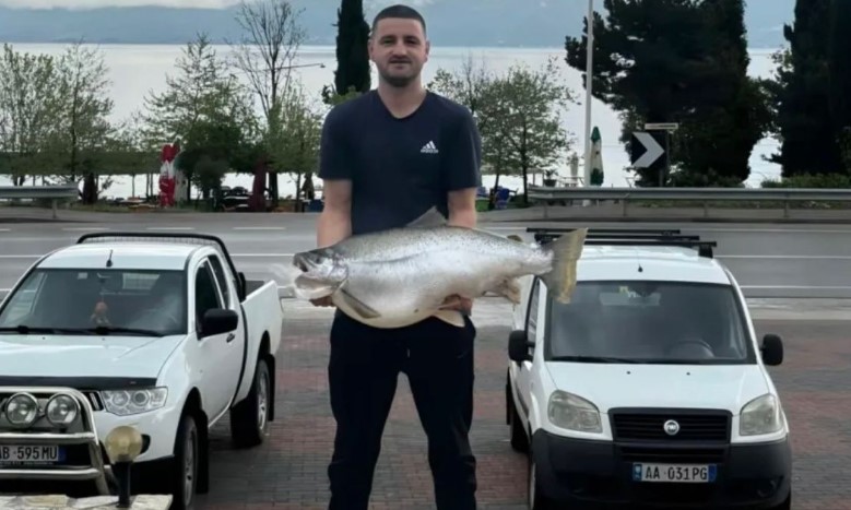 Ndodh në Pogradec! Peshkatari kap në liqenin e Ohrit koranin mbi 13 kg ...