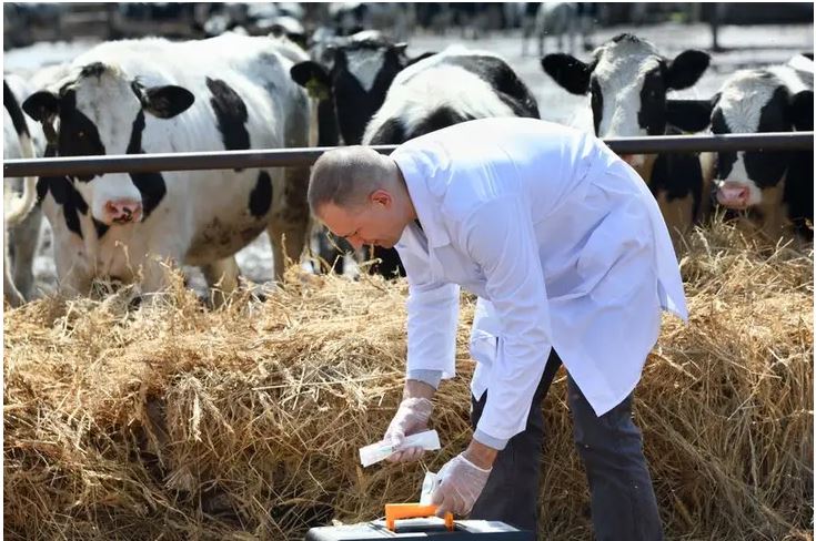 Panic over the plague that has broken out in the neighboring country, a ...