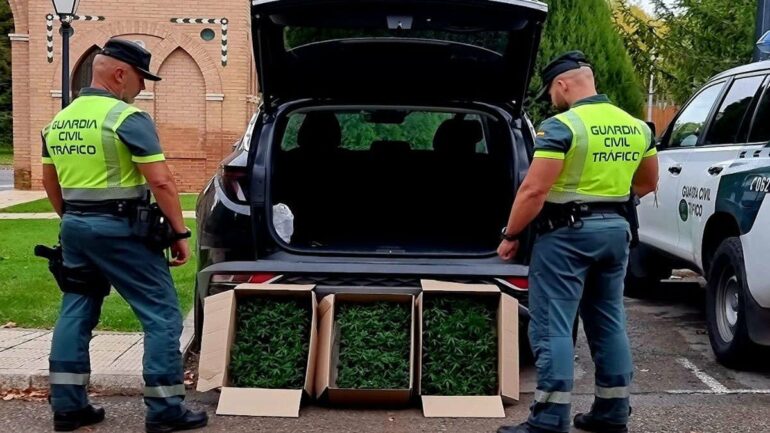 Two Albanians arrested in Teruel, transporting over 300 marijuana ...