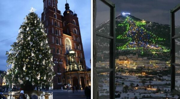 Photo/ 'Time Out' magazine chooses the most beautiful Christmas trees ...