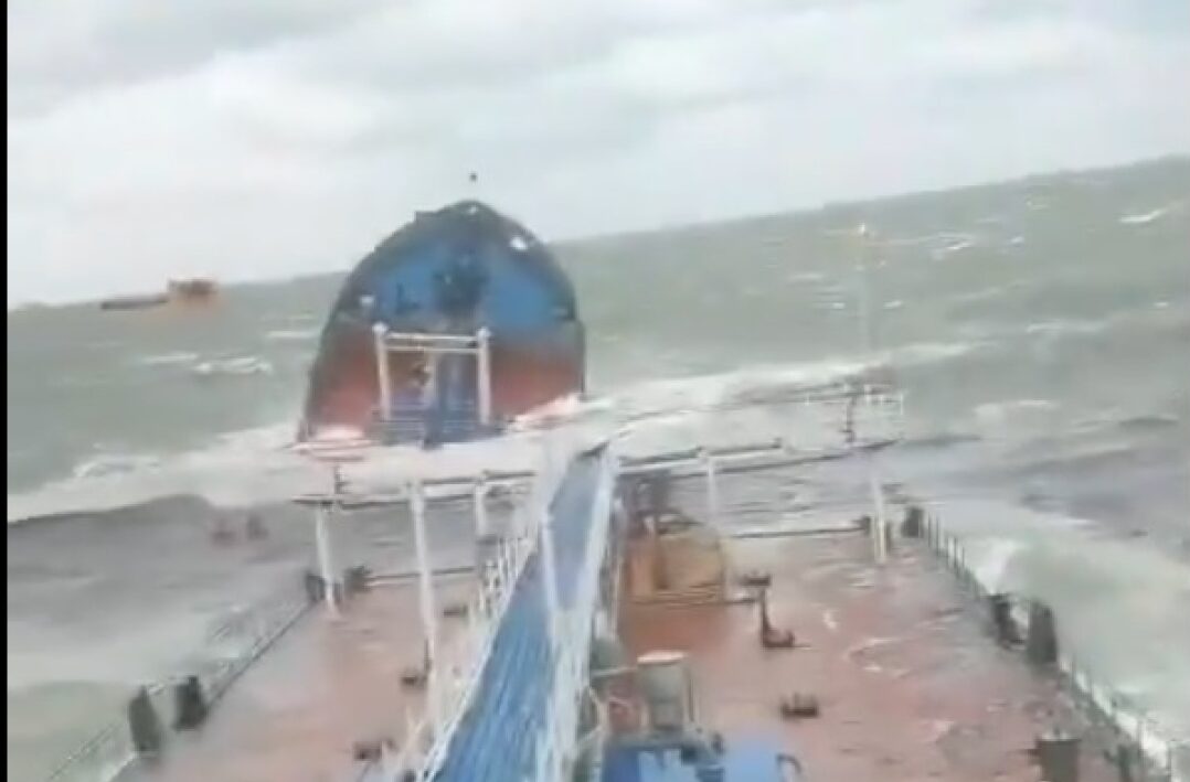 More than 30 whales found dead in the Black Sea after two oil tankers ...