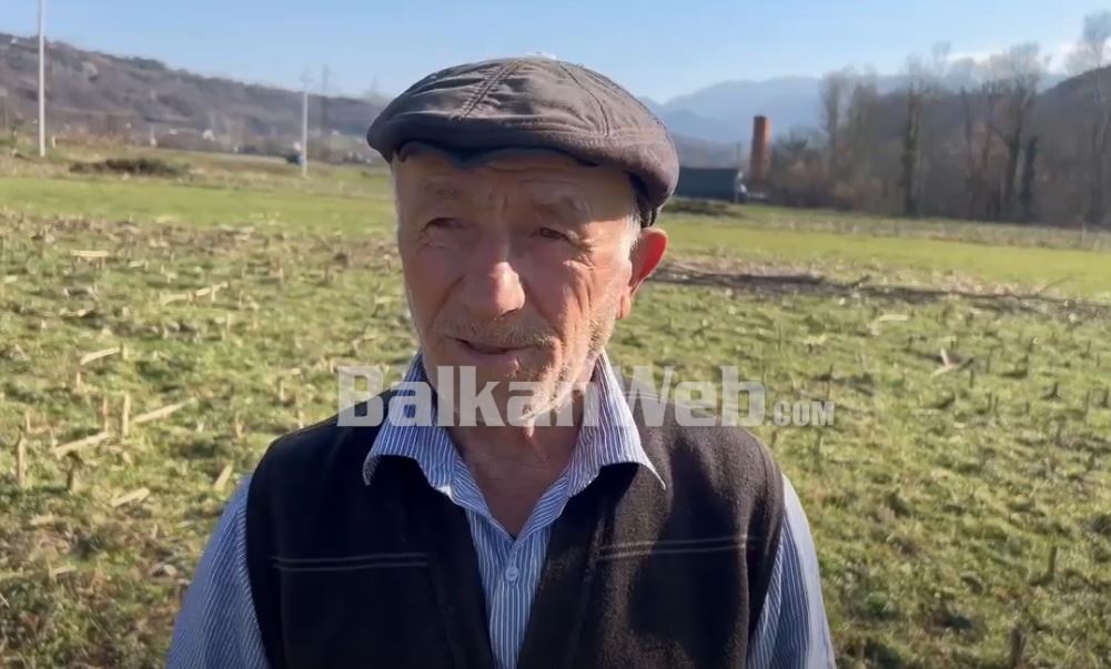 "Work keeps you in shape", the motto of the 80-year-old from Klosi who ...