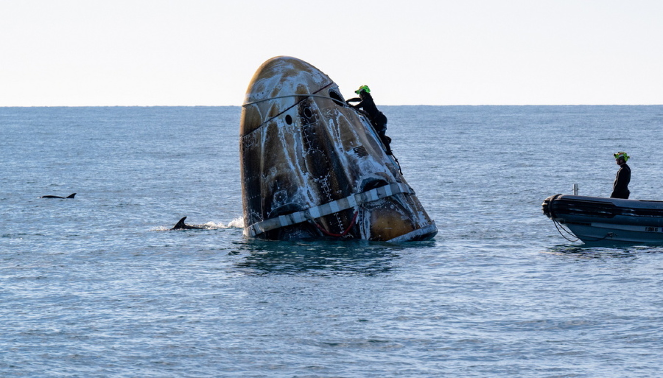 Finally home, a group of dolphins "welcomed" NASA astronauts stranded ...
