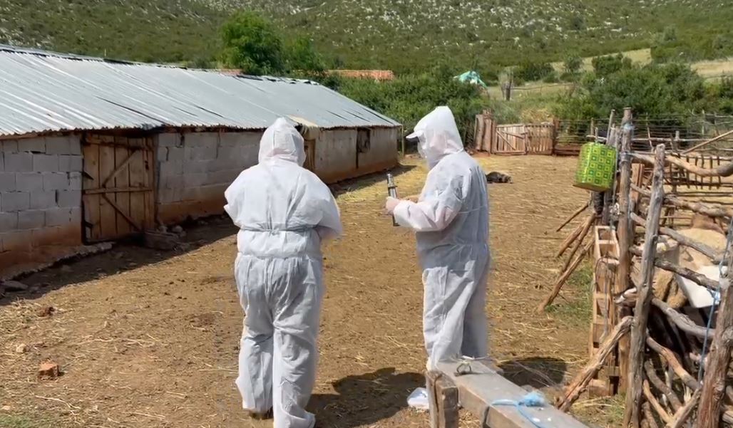 Vendimi/ Ndalohet pjesërisht importi nga disa shtete i shpendëve me ...