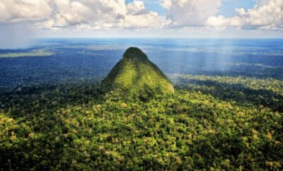 Scientists amazed by perfect pyramid hidden deep in the Amazon jungle ...