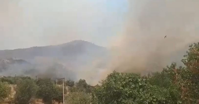 Zjarr në Kalasë të Delvinës, rrezikohen banesat, vështirësi për ...