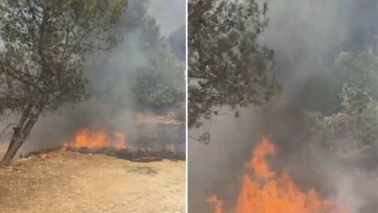 Dropull/ Caused the fire that burned 4 apartments, part of the forest ...