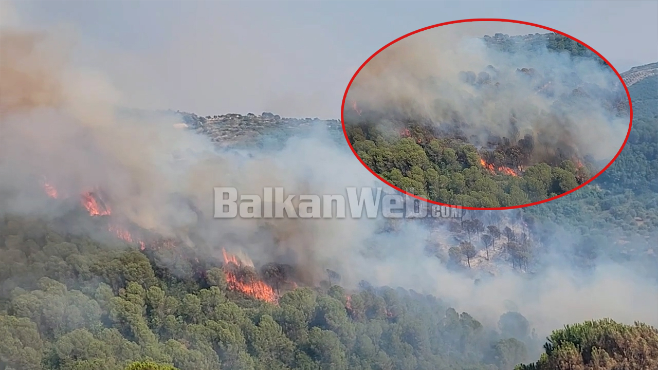 Riaktivizohet zjarri në masivin pyjor të Drenovës, shërbimet ...