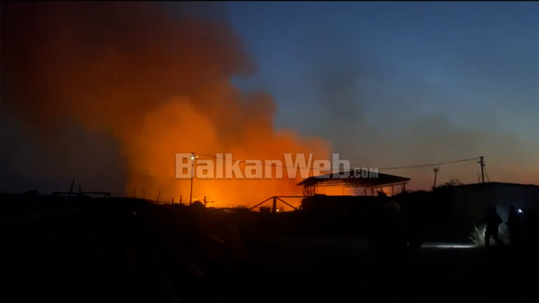 VIDEO/ Zjarri në Drenovë po i afrohet një pusi nafte, priten përforcime ...