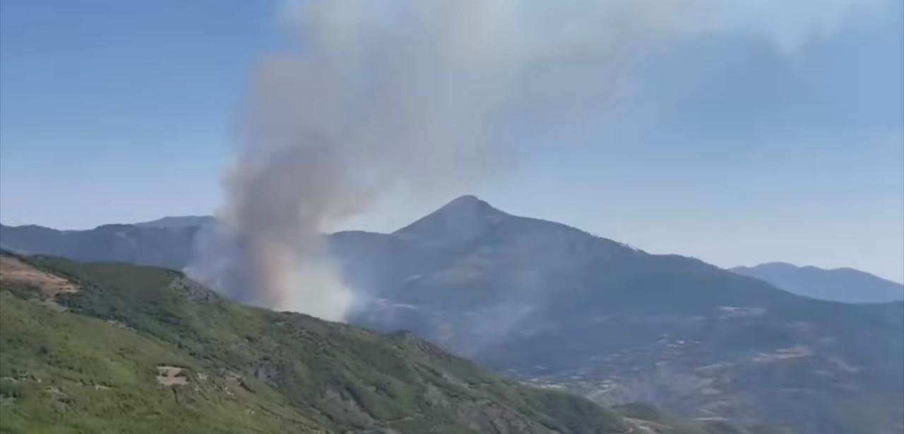 The fire engulfs the forest massif near the village of Sojnik in Gramsh ...