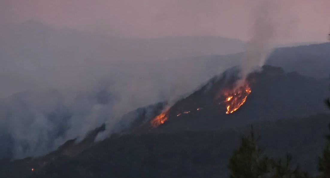 Zjarr masiv në Patos/ 4 hektarë pyll në flakë, rrezikohen zonat e ...