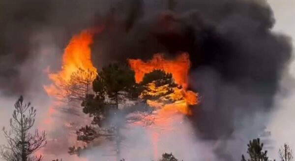 VIDEO/ Tepelenë, vatër e re zjarri në Hormovë, Gjirokastra në panik për ...