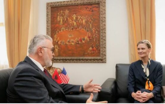 E Ngarkuara me Punë e SHBA-ve takim kokë më kokë me ministrin Gogu, Van ...