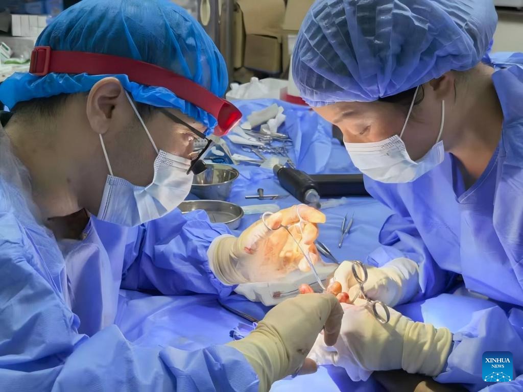 Chinese medical team performs first finger transplant in Sierra Leone ...
