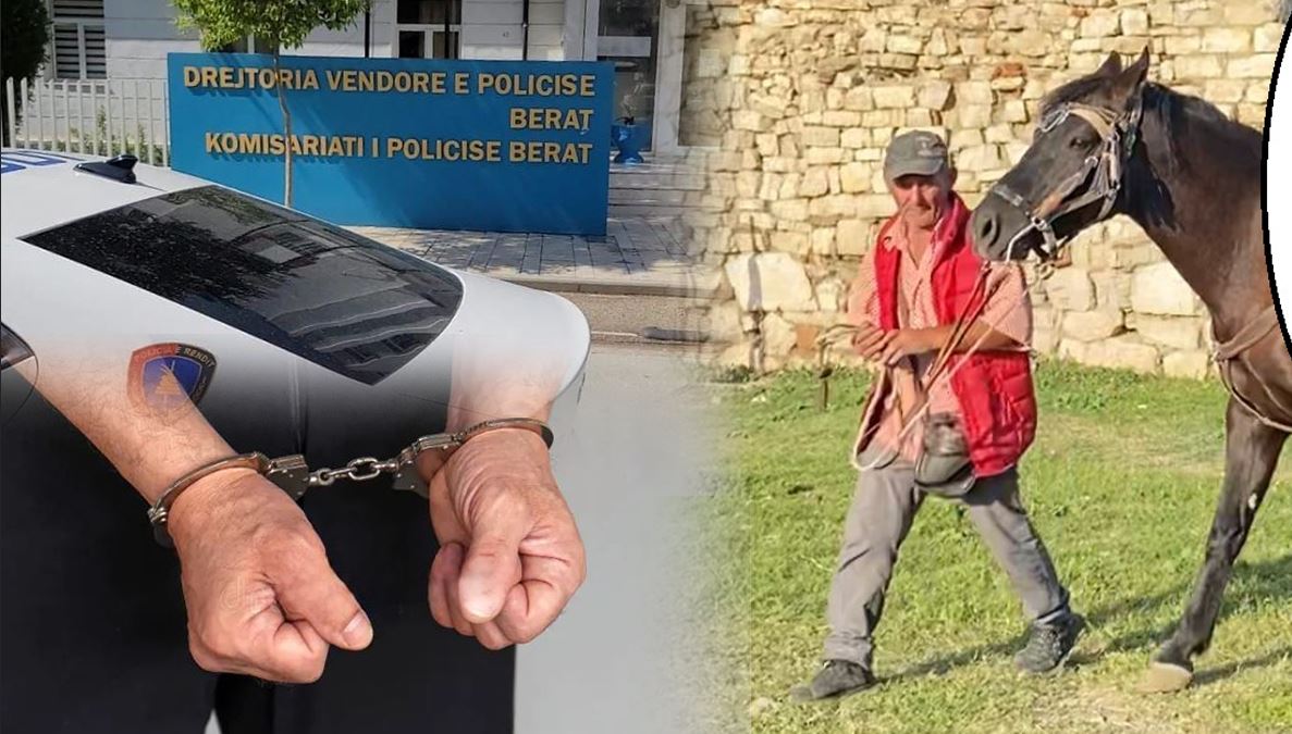 “Mos e prek kalin se është i acaruar sot!”/ Zbardhet dëshmia e vrasësit ...