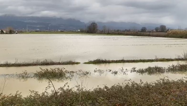 Problematic situation in Fushë-Krujë/ Hundreds of hectares of land ...